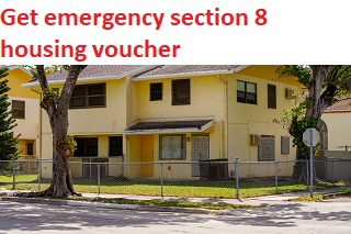 Section 8 emergency housing choice vouchers