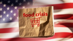 Emergency food stamps